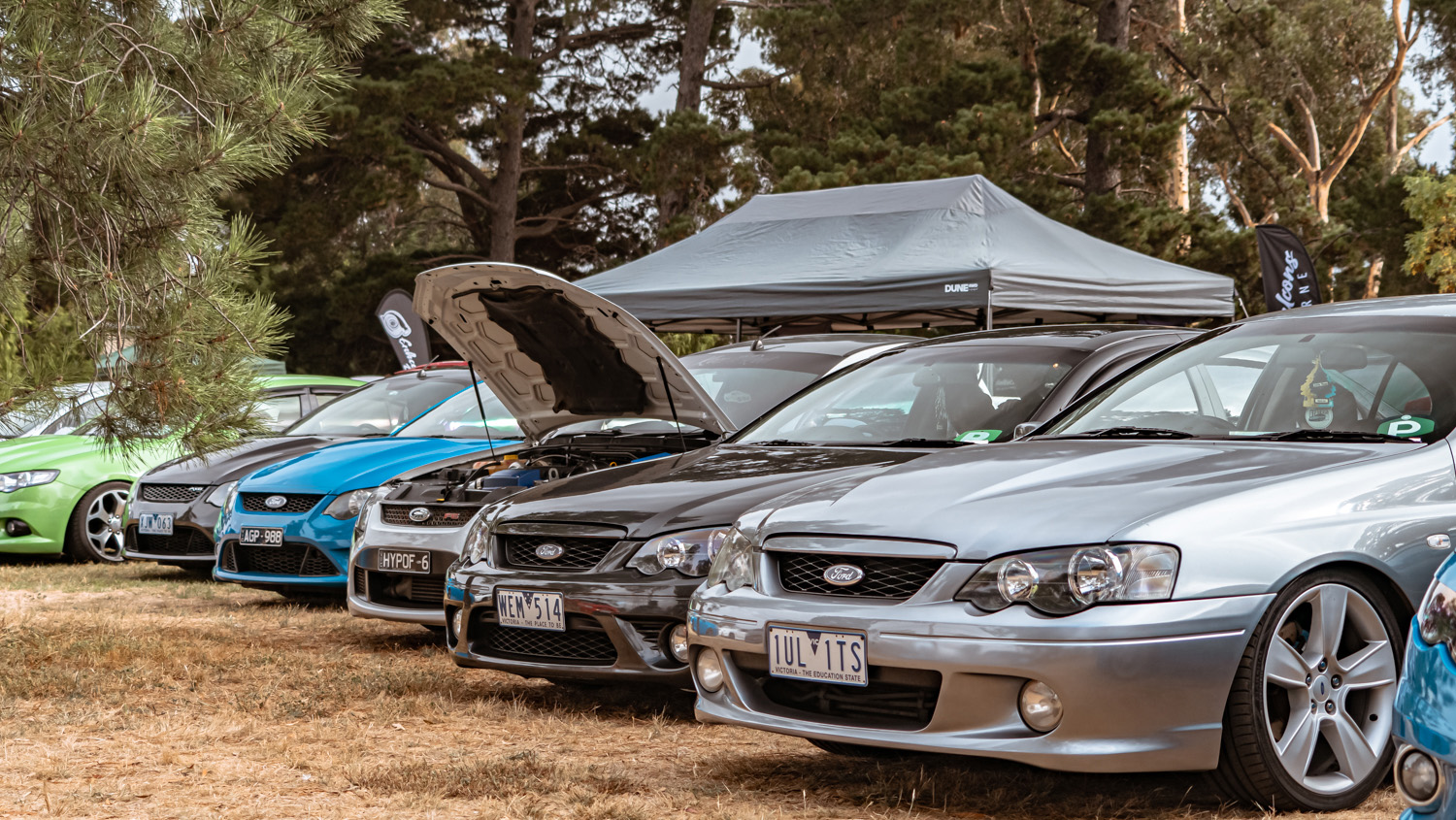 Gallery - All Ford Day